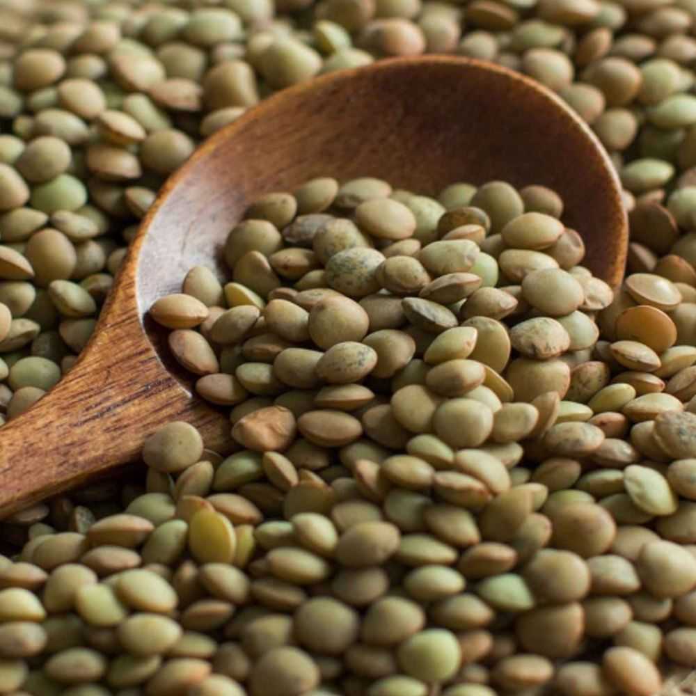 Lenticchie Siciliane - Agricereal